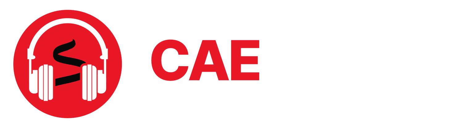 Courses - CAE Institute